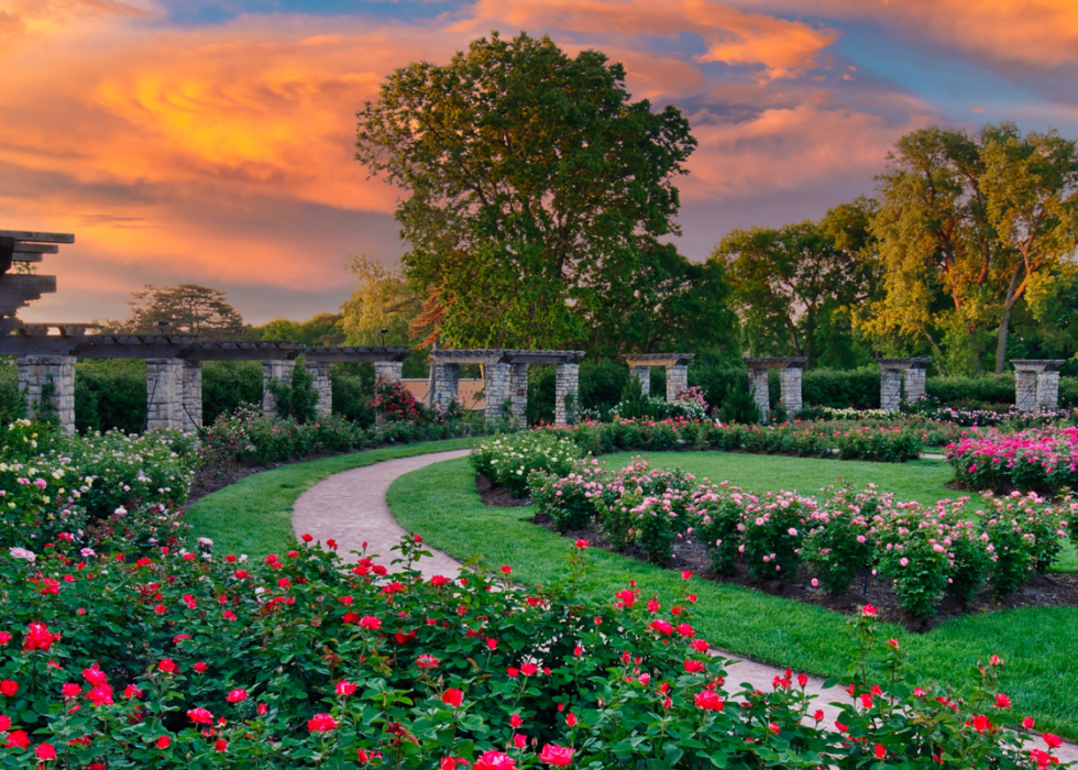 American Rose Center - American Rose Society
